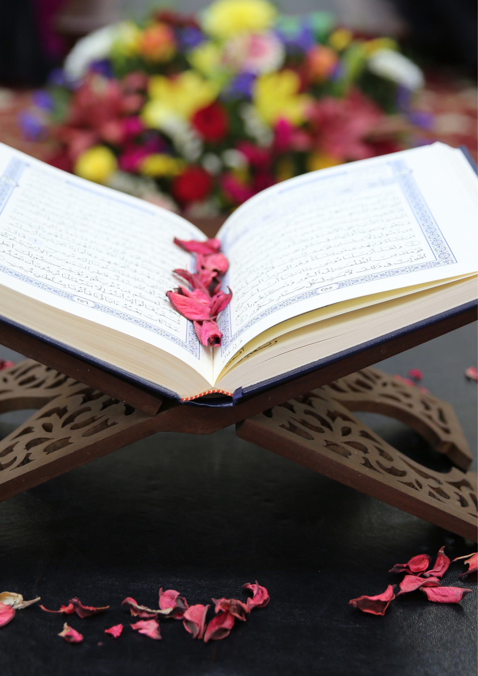 Islamic Books-Adult – Terrific Tales